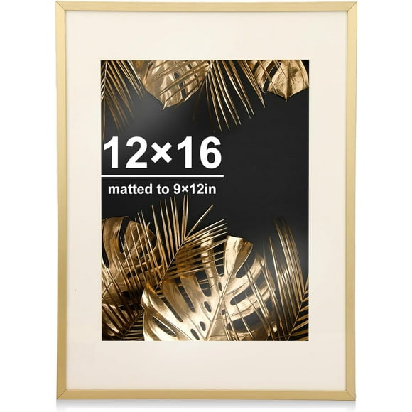 Picture Frames 12 X 16