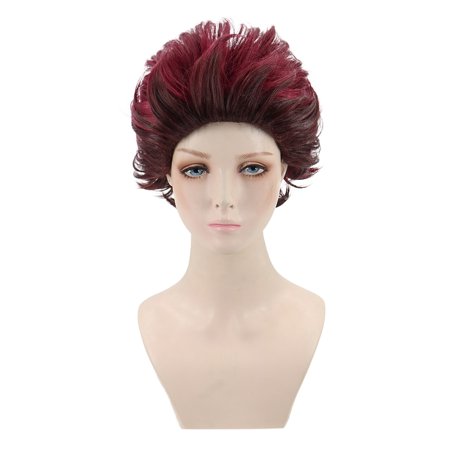 Archer Fashion Anime Red Short Synthetic Hair Men Women Wig Cosplay ...