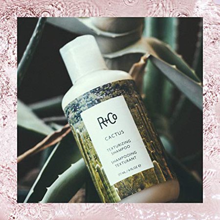 R+Co Cactus Texturizing Shampoo, Natural Texture and Wave Enhancer, 6 ...