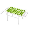 Emsco Group 2370 Hydro Pickers Hydroponic Raised Bed Gardening System ...
