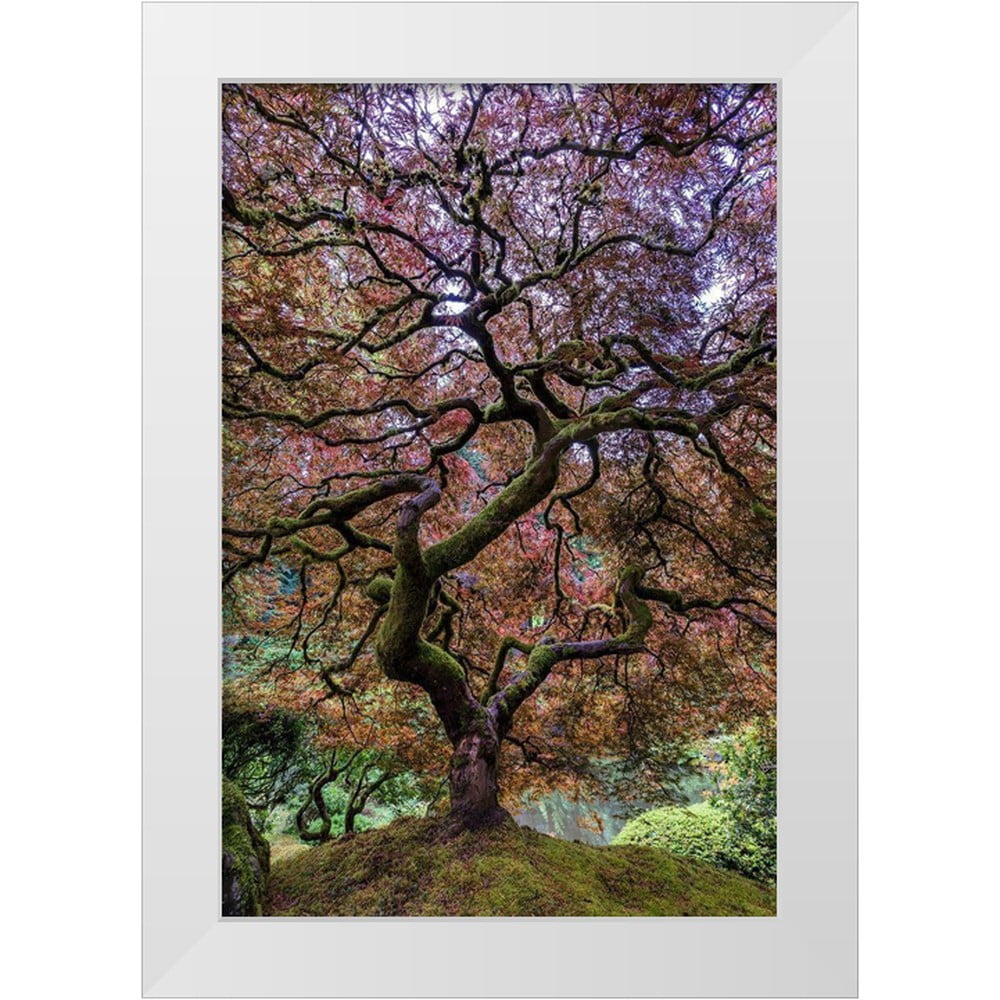 Centioli, Mike 17x24 White Modern Wood Framed Museum Art Print Titled ...