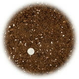 ⭐ Gardenera's Premium Lime Soil Mix - Fast-Draining Potting Soil for ...