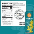 ZYN Immunity & Recovery Turmeric Wellness Drinks - Lemon Ginger (6 Pack ...