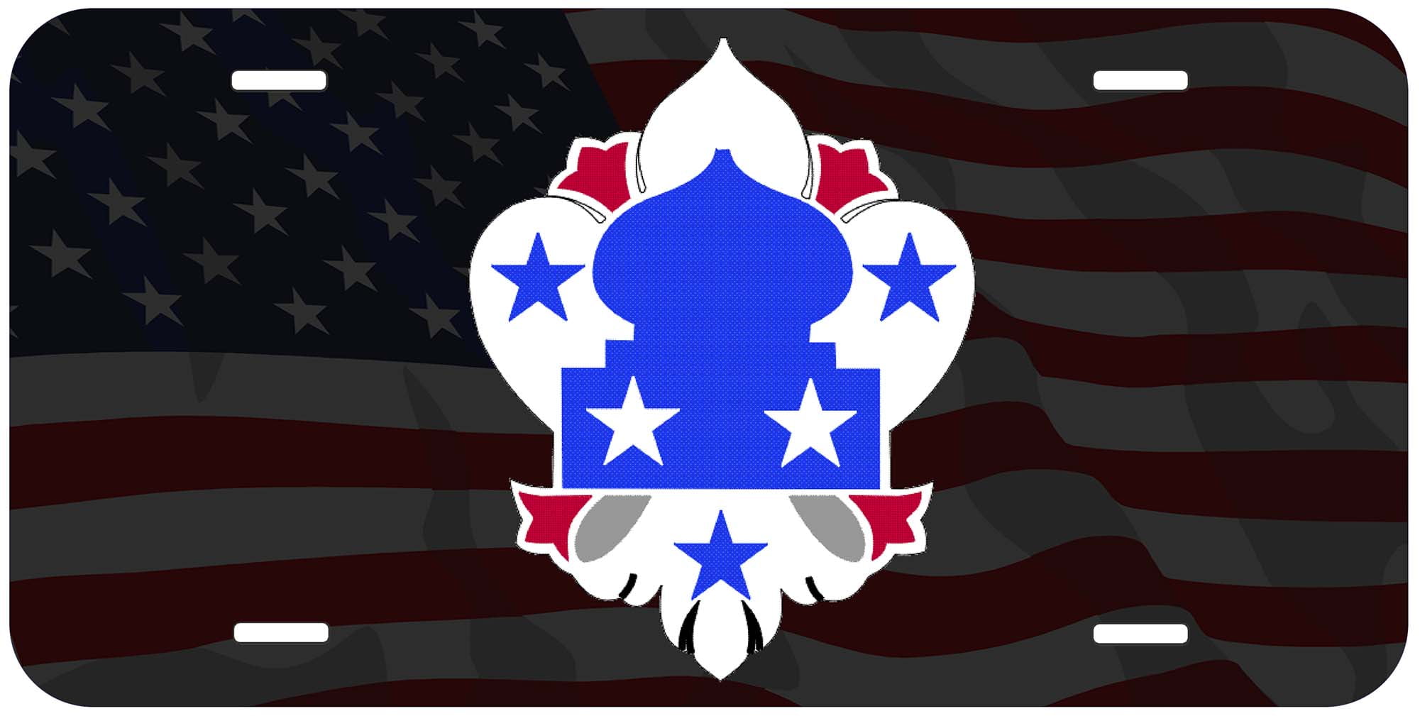 Fifth Army DUI Novelty Car License Plate - Walmart.com