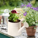 SunniMix Metal Mini Watering Can Planter Garden Bucket for Patio Decor ...
