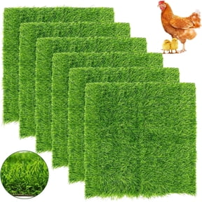 Premium Chicken Sand, Odor Eliminating Bedding for Chicken Coops, 50 Lb ...