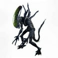 Alien Action Figure Grid Alien Xenomorph Aliens vs Predator 7-Inch ...