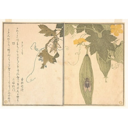 Grasshopper (Kirigirisu); Cicada (Semi), from the Picture Book of ...