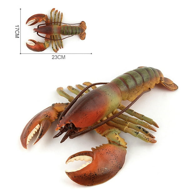 Simulation Australian Lobster Boston Lobster Model Ornaments Sea Life ...