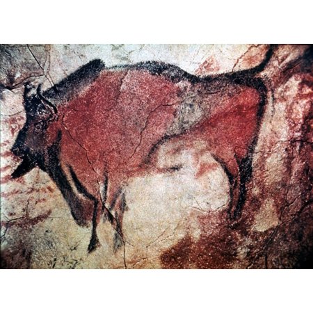 Cave Art: Altamira./Nstanding Bull Bison From Cave Of Altamira ...