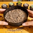 4-in-1 Bonsai Soil Sieve Set - Interchangeable 3-Size Mesh Pan for ...