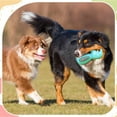 Dog Chew Toys For Aggressive Chewers Tough Dog Toothbrush Toy Squeaky ...