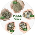 10lbs Aquarium Gravel, 1/8"(2-4mm) Natural River Rocks Succulent Cactus ...