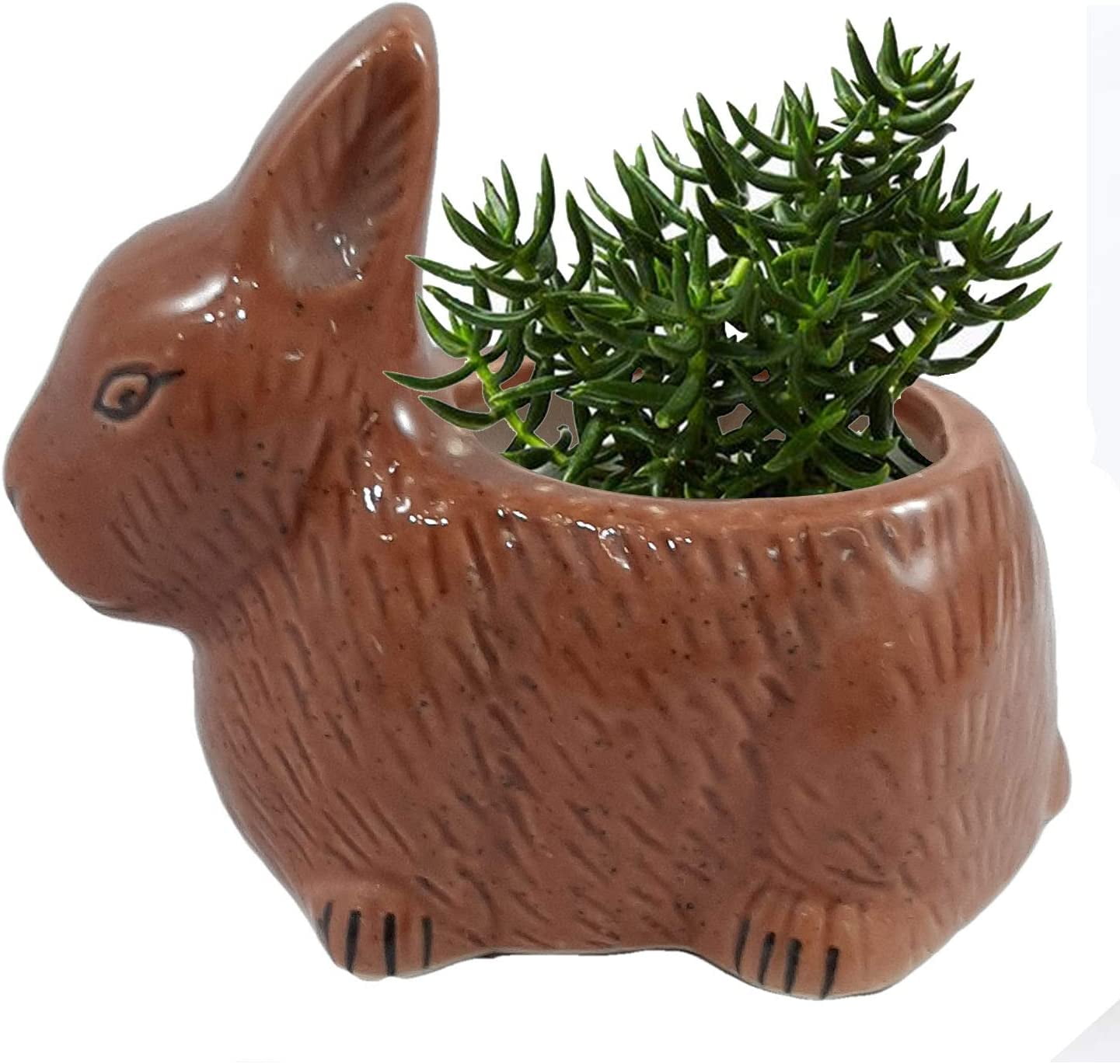 India Meets India Handicraft Ceramic Flower Pots Ceramic Planter Plant ...