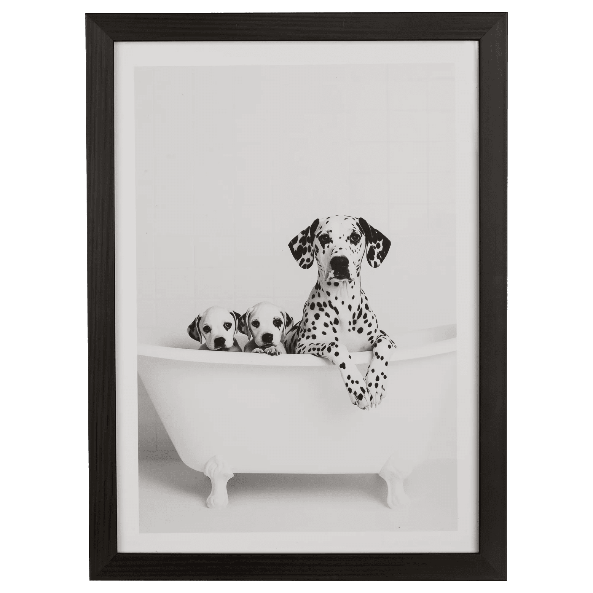 Click here for Bouclair Dalmation In Bath Framed Wall Art prices