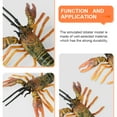 Kelingqi Simulation Lobster Model Creative Marine Animal Model Unique ...