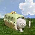 Oodles 20" Plastic Travel Pet Kennel with Clip On Bowl, Green - Walmart ...