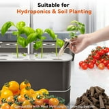 QUIVY Tomato Seed Pod Kit for AeroGarden, Ahopegarden, iDOO Indoor ...