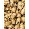 6 Tubers Jerusalem Artichoke - Individual Tubers For Planting - AKA ...