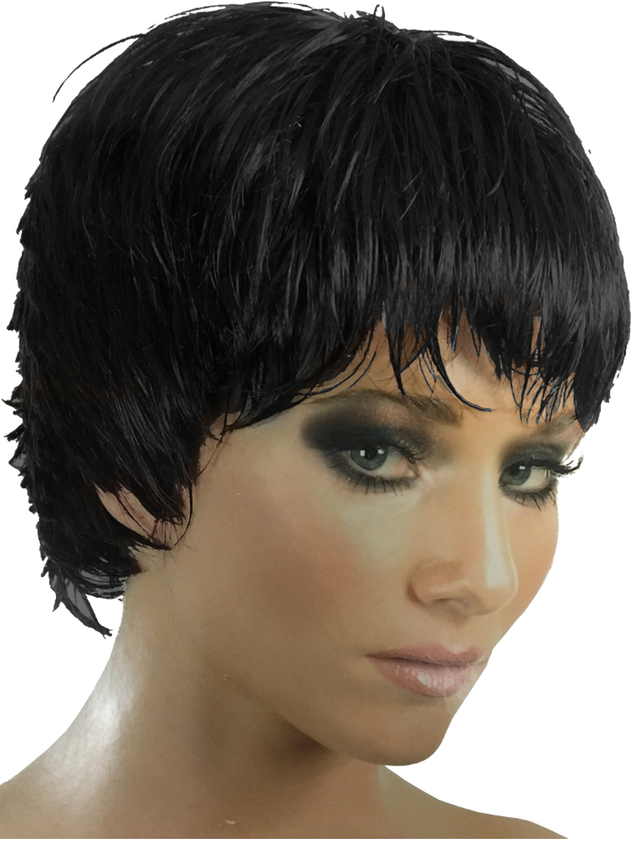 BlockBuster Costumes Punk Rocker The Rockette Women's Black Wig Costume ...