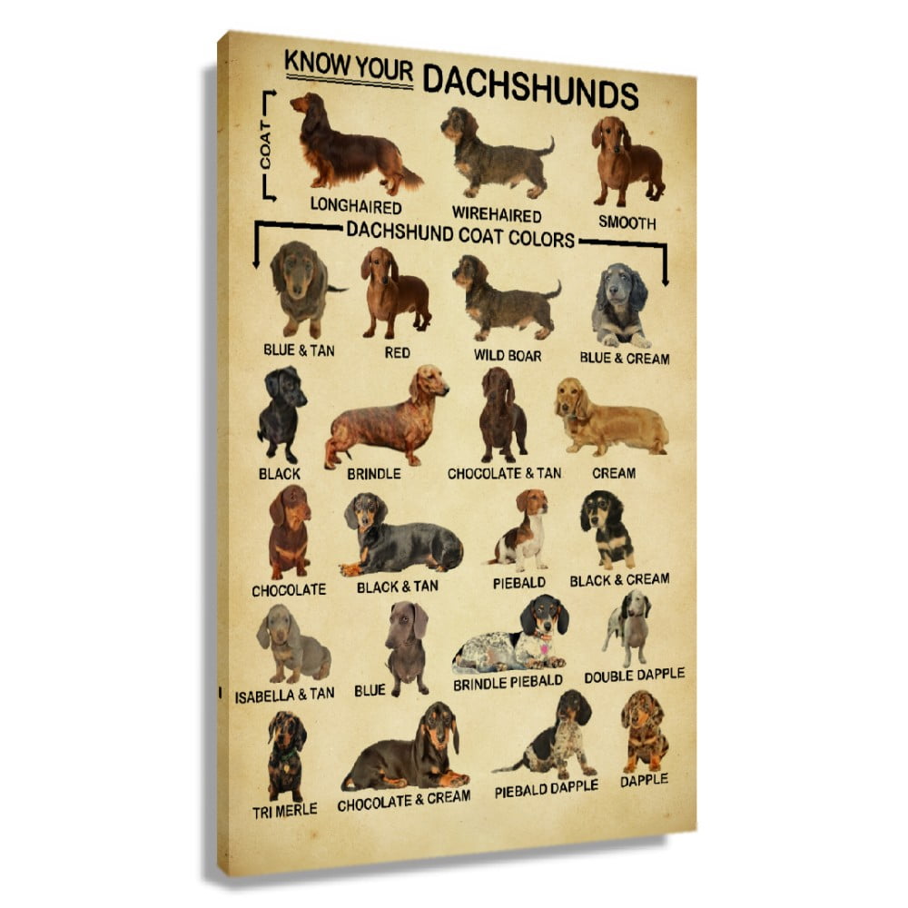 Dachshunds Dog Wall Art Knowledge Poster Bedroom Painting Pictures ...