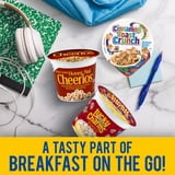 General Mills Cereal Cups Variety Pack 19.7 oz with Lucky Charms ...