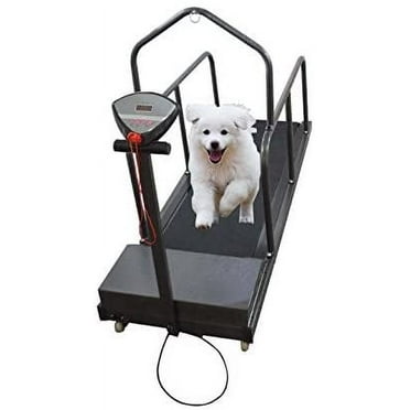 GoPet PetRun PR720F Dog Treadmill - Walmart.com