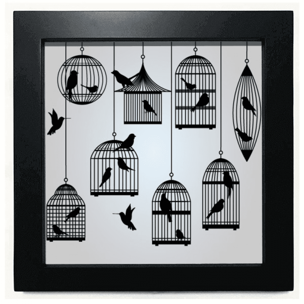 Illustration Birds Cage Outline Black Square Frame Picture Wall ...