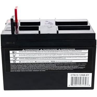 Restored Snow Joe + Sun Joe 24V-2AMP | 24-Volt iON+ Starter Kit | W/ 2. ...