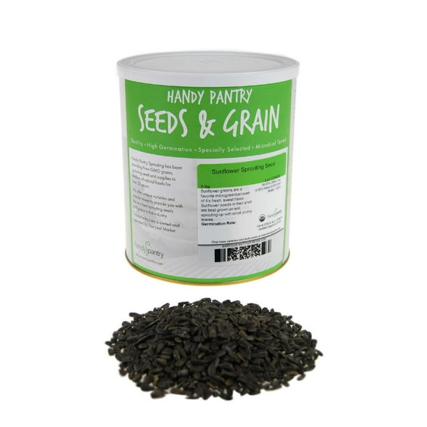 Organic Sunflower Sprouting Seeds (Shell On): 3 Lbs - Non-GMO, Black ...