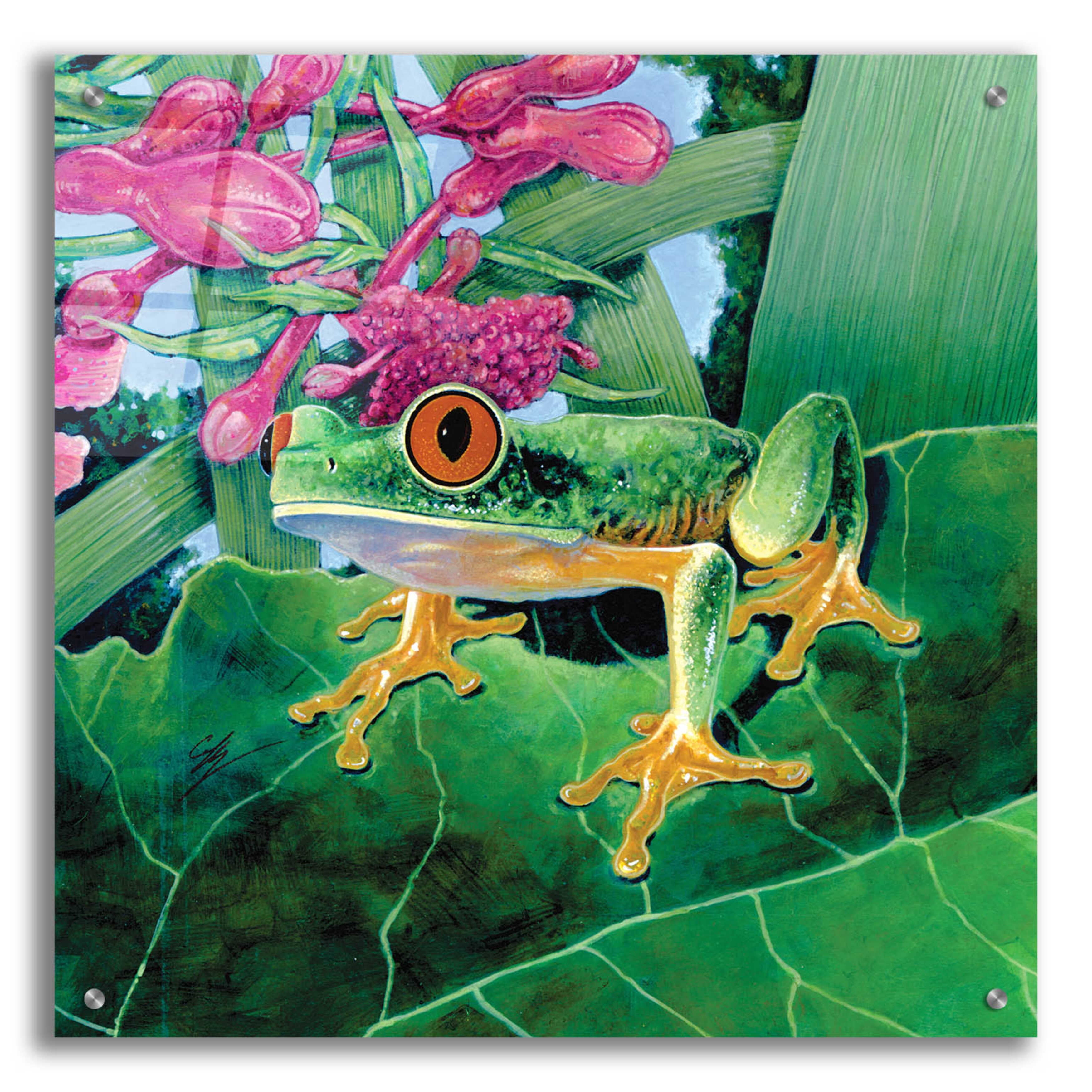 Epic Art 'Calli' by Durwood Coffey, Acrylic Glass Wall Art, 24"x24" - Walmart.com