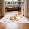 Area Rugs 23.62"x35.43" Soft Non-Slip Door Mat Machine Washable ...