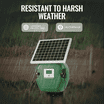 Parmak Precision 12 Volt Magnum Solar Fencer: Outdoor Powered Electric ...