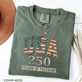 Comfort Colors USA 250 T-Shirt, 250 Years of Freedom 1776-2026, Vintage ...