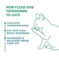 Elanco Cat Tapeworm Dewormer, At-Home Treatment with Praziquantel, 3 ...