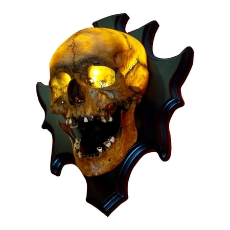 Food Pusher,Food Pusher Sausage Filling Kubbe Attachment Sausage Nozzle ...