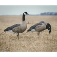 GHG Decoy Systems Pro Flex Full Body Goose Decoy Honker Harvester, 12 ...