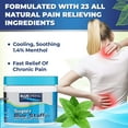 Blue Stuff Pain Relieving Cream 4.4 oz Natural Arthritis Back Muscle ...