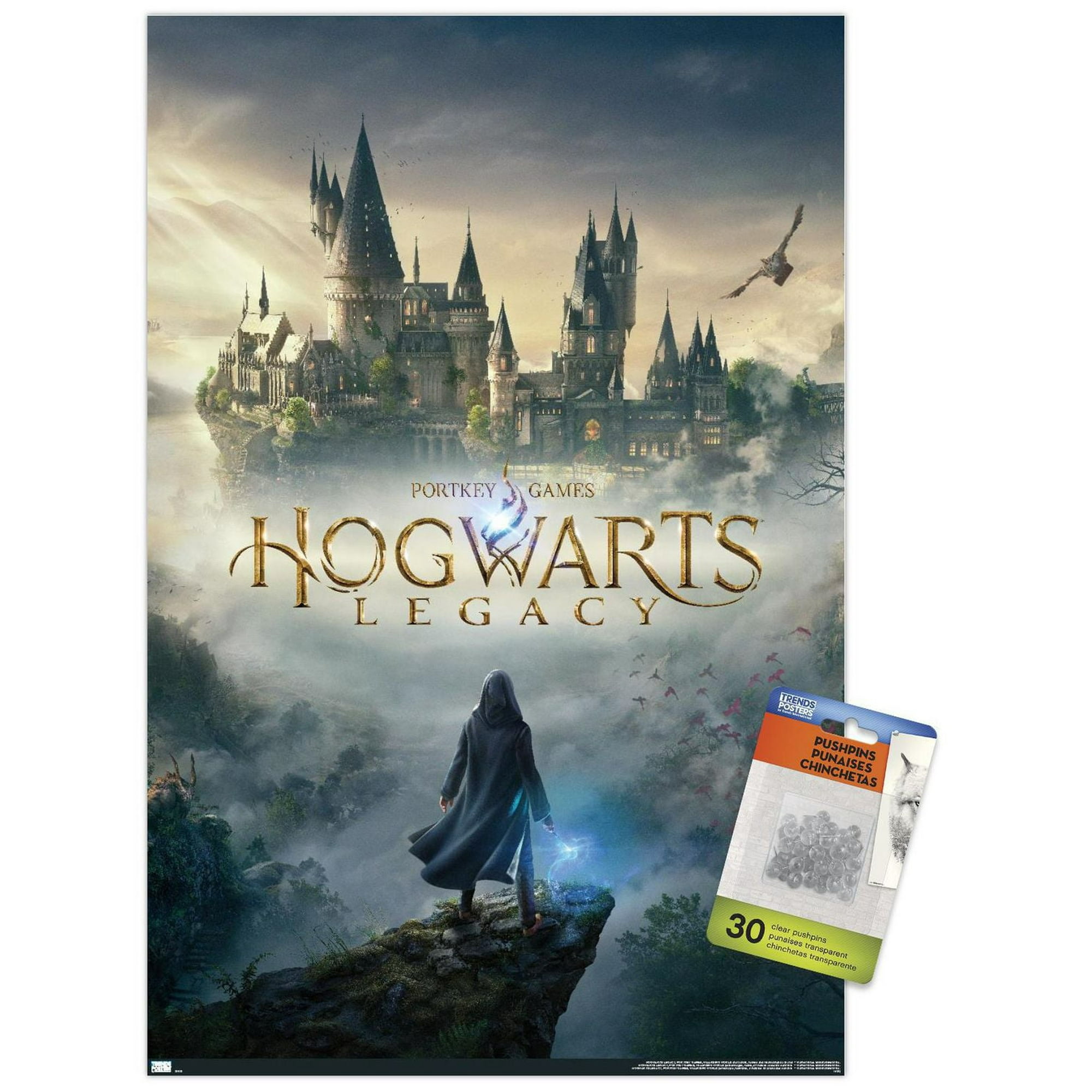 Click here for Trends International Harry Potter: Hogwarts Legacy... prices