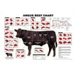 Angus Beef Chart Meat Cuts Diagram Poster 11in x 17in Mini Poster 11 x ...