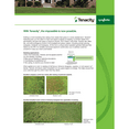 Syngenta Tenacity Herbicide - Pre-Emergent Broadleaf Weed & Grass ...