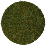 SuperMoss Moss Pot Toppers 10" 3/Pkg-Green - Walmart.com