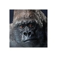 Safari Ltd. Silverback Gorilla Figurine - Realistic 6.25" Figure ...