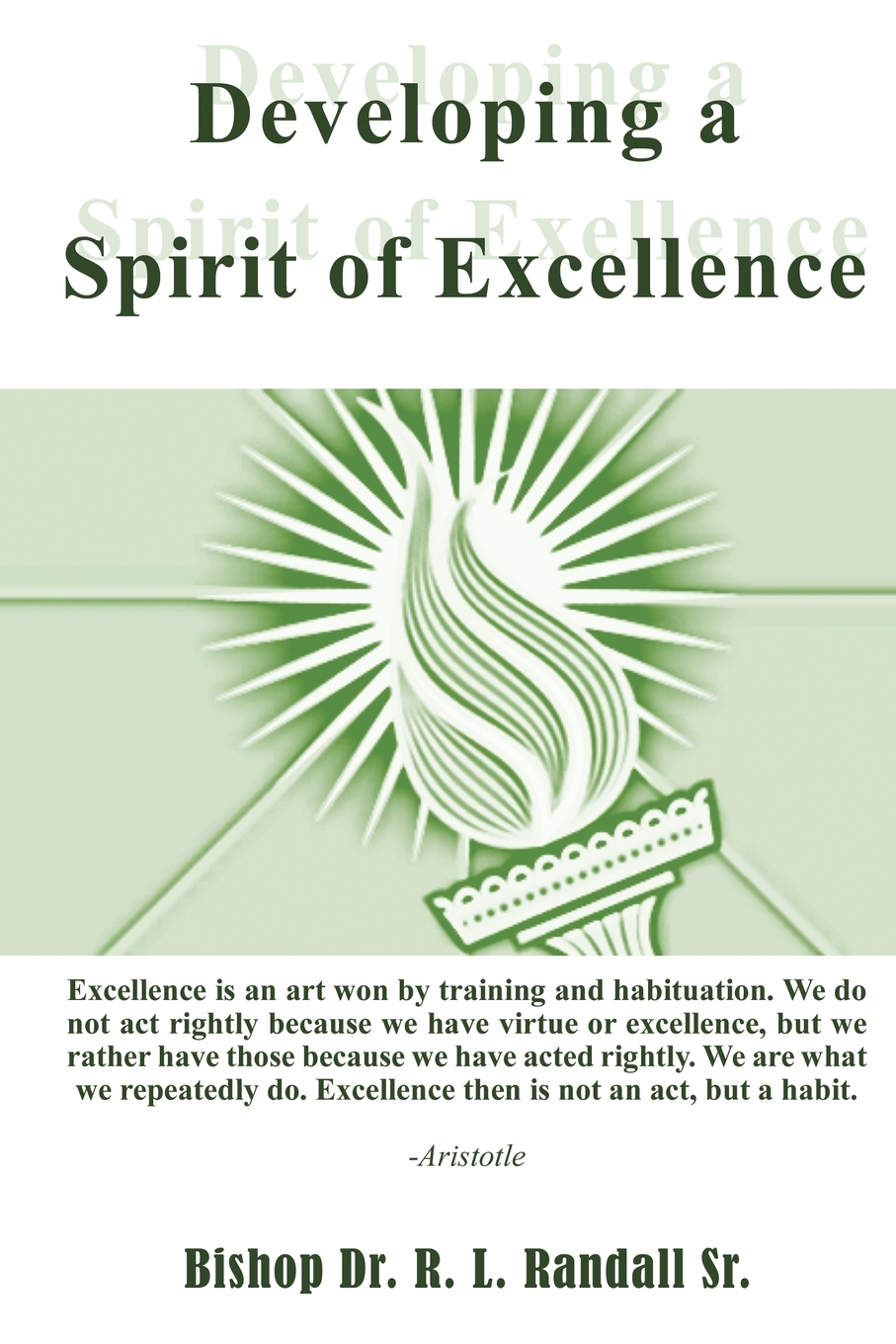 Developing a Spirit of Excellence (Paperback) - Walmart.com