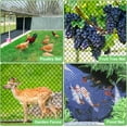 Bird Netting,Hengu 25x25FT Heavy Duty Anti Bird Net with 0.75" Mesh ...