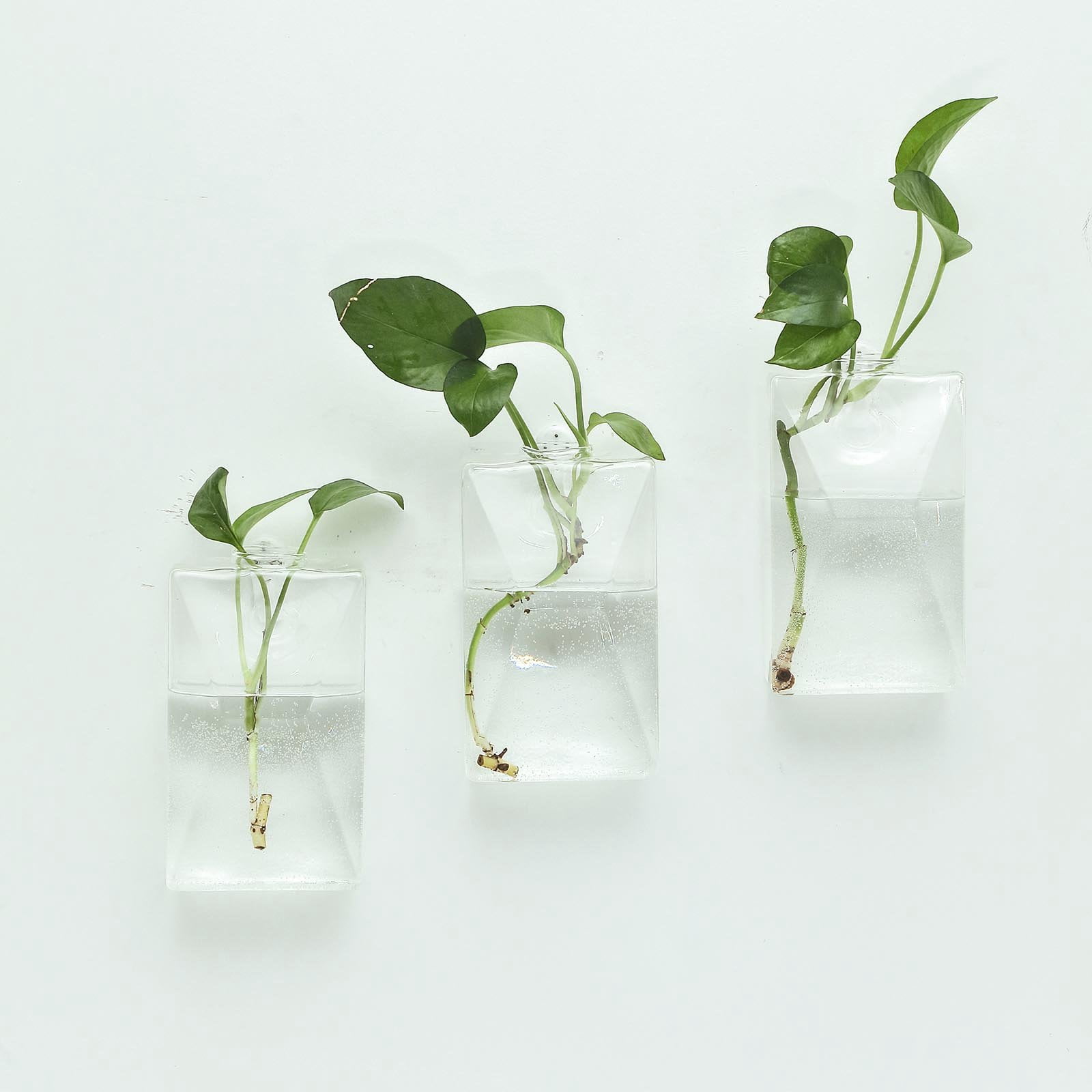 Efavormart 3 Pack Trapezoid Shaped Glass Wall Vase Hanging Glass ...