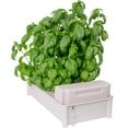Hydrofarm GCSB Salad Box Hydroponic Soil-Free Salad Greens Garden ...