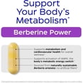 Enzymedica, Berberine Supplement HCl, 510mg, for Overall Health and ...