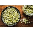 ORGANIC SPROUTING MIX - Peas, Beans Mung, Adzuki Bean, and Green ...