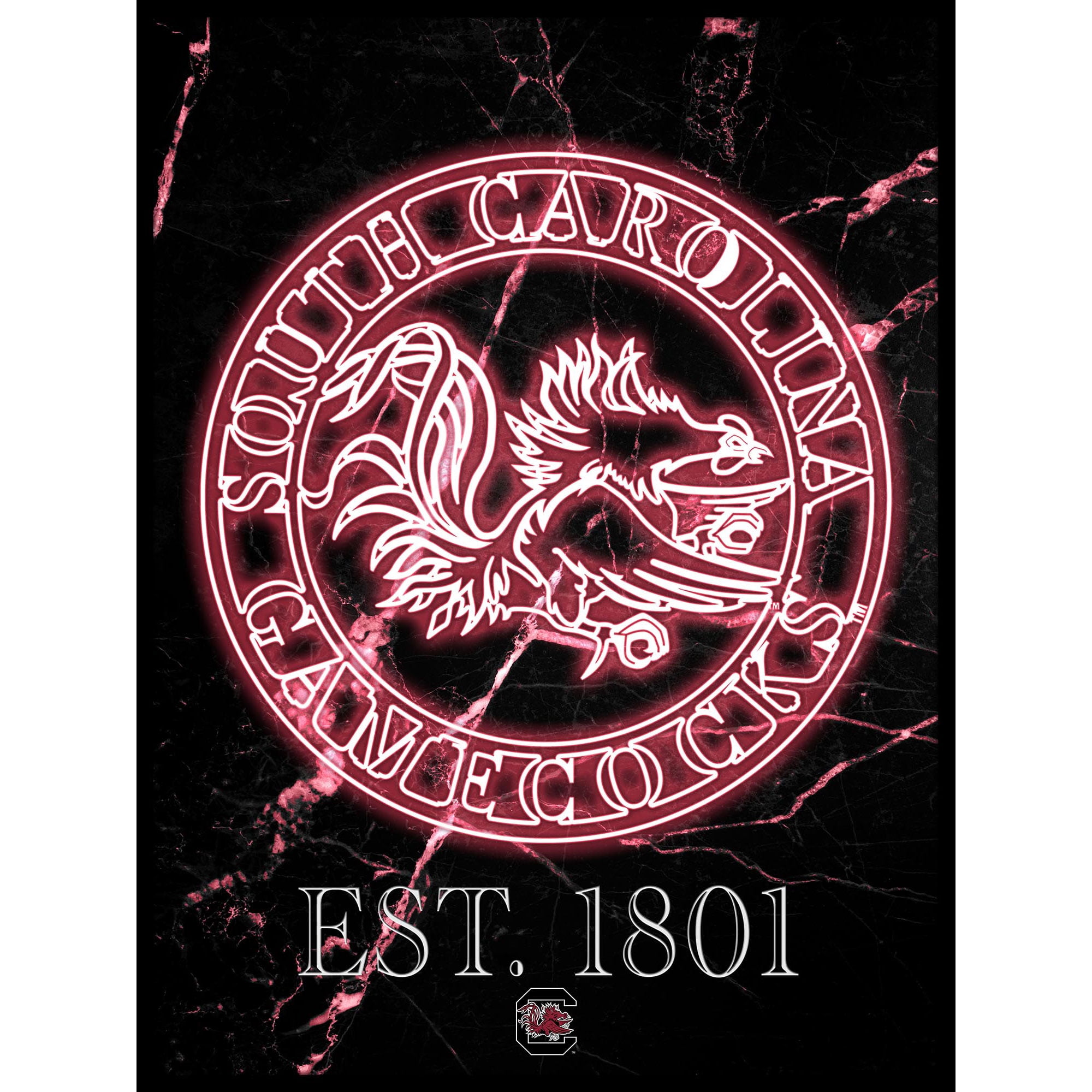 Black South Carolina Gamecocks 12'' x 16'' Framed Circle Logo Print ...